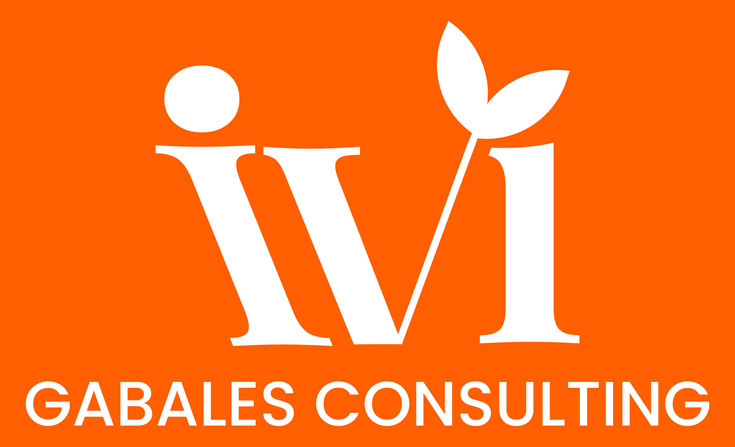 Homepage - Ivi Gabales Consulting